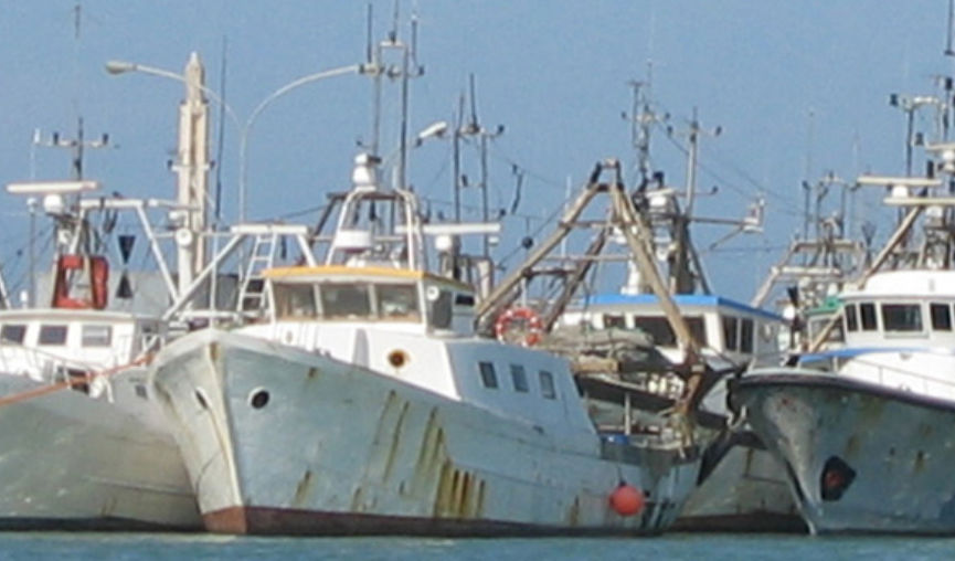 Рыбопоисковый эхолот для рыболовного судна - SY50 - Simrad - цветной ...